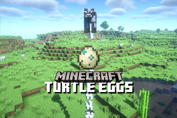 Minecraft Turtle Eggs: Easy Guide to Get Them Now
