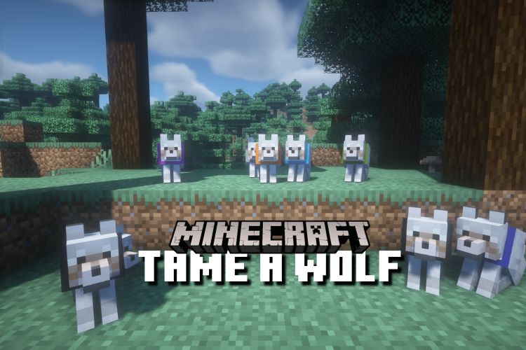 Tame Wolf Minecraft Easy: How to Tame a Wolf • [Your Brand]